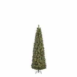 black box trees sotka 180l d66h185cm grn - AVRI Bloem- en Tuincentrum