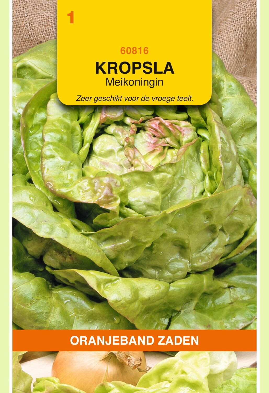 OBZ Kropsla Meikoningin - AVRI Bloem- en Tuincentrum