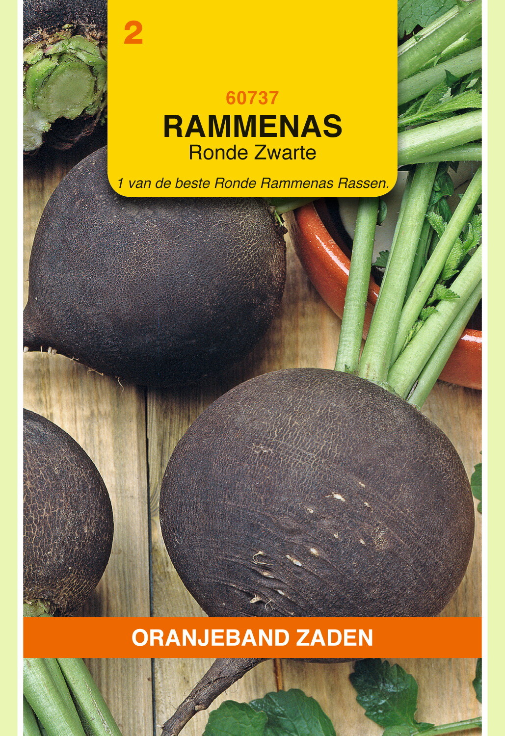 OBZ Rammenas Ronde Zwarte - AVRI Bloem- en Tuincentrum