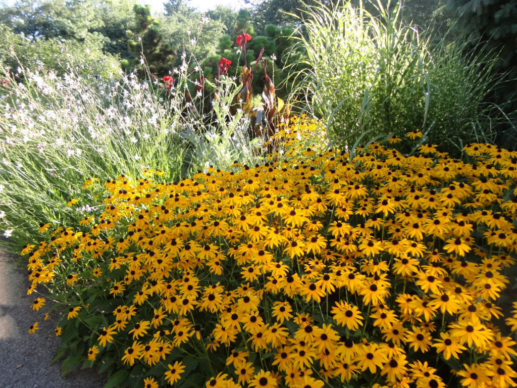 Vaste Planten - AVRI Bloem- en Tuincentrum